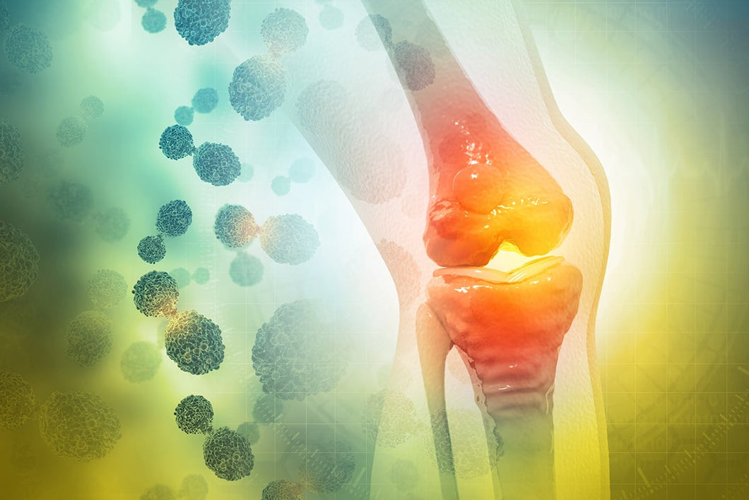 Inflammation's Effects on Bone Health - Best In Nature