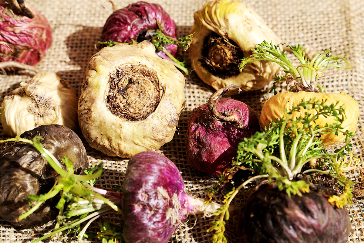 Maca and Wellness: How Lepidium meyenii Supports a Balanced Lifestyle ...