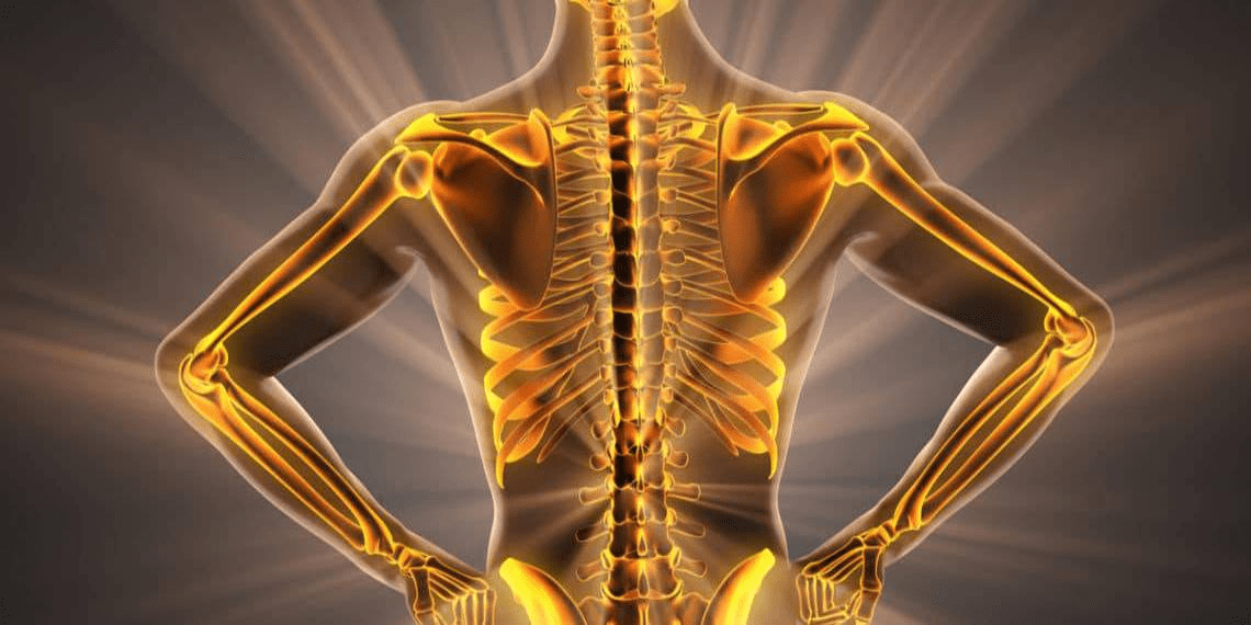 What is Peak Bone Mass and What Affects It? – Best In Nature